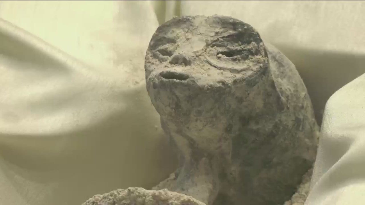 “宇宙人2体の死体”を公開 メキシコで初の“UFO”公聴会 専門家「人間と関係のないものと断言できる」｜FNNプライムオンライン