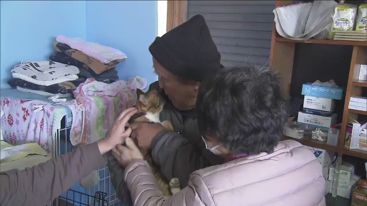 能登半島地震 ボランティアに預けた飼い猫との再会も 七尾市の「復興マルシェ」は宮城・南三陸の商店街も“後押し”｜FNNプライムオンライン