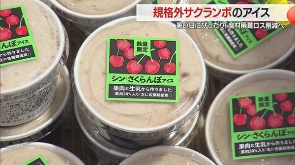 一口食べると新鮮なサクランボの甘みが広がる！ 果肉30％以上のフレッシュなアイス発売・規格外の食材廃棄ロス削減【山形発】｜FNNプライムオンライン