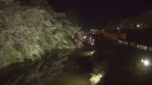 約1500本のサクラ咲く名所・霞城公園 “制限解除”でにぎわい 夜はライトアップで幻想的な雰囲気に【山形発】｜FNNプライムオンライン