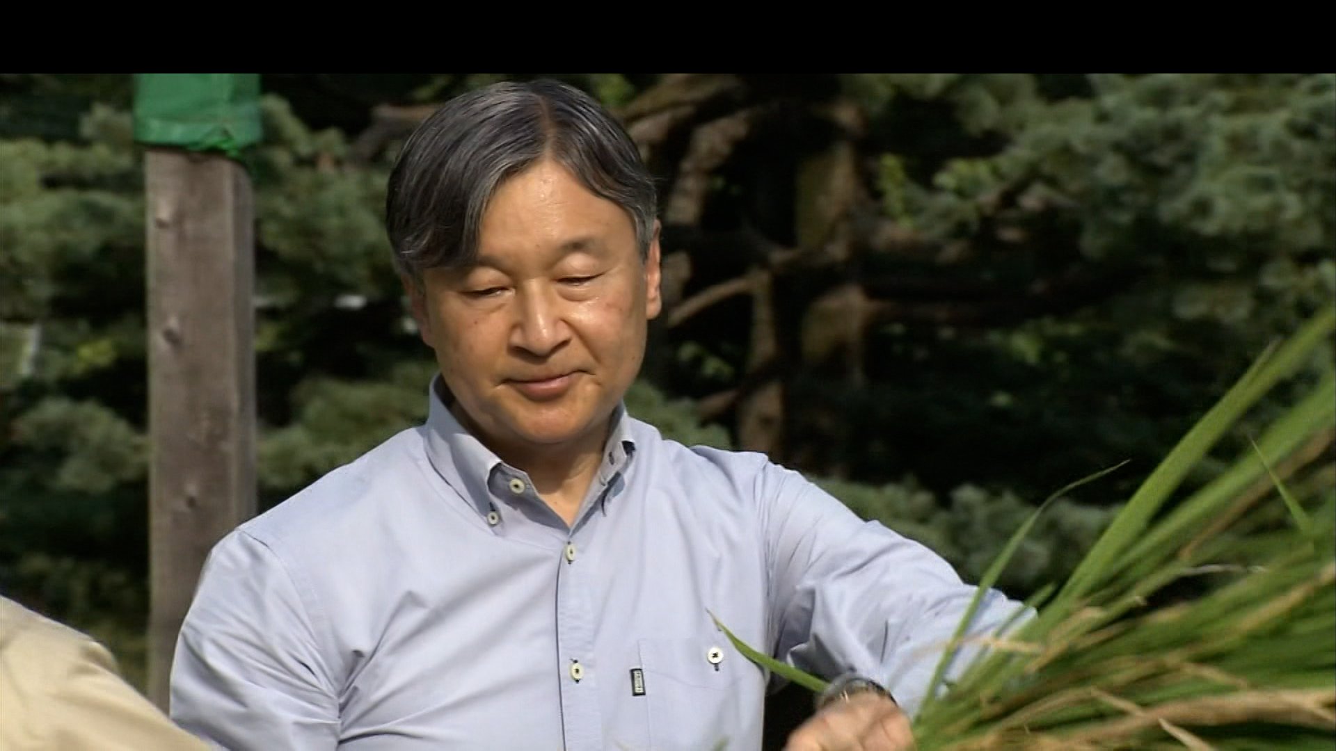 天皇陛下が皇居内でお稲刈り…強い日差しのなか長靴姿で「ニホンマサリ」など20株収穫…米は宮中祭祀などで使用（FNNプライムオンライン）｜dメニューニュース（NTTドコモ）