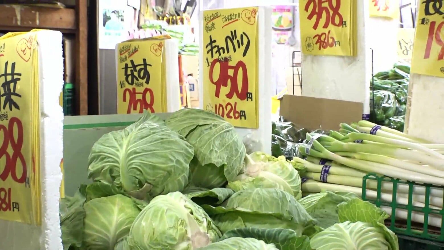 「もう止まらない…ごめんなさい！」1玉1000円超で“キャベツパニック” 価格高騰で3倍に…お好み焼きは“もやし”で｜FNNプライムオンライン