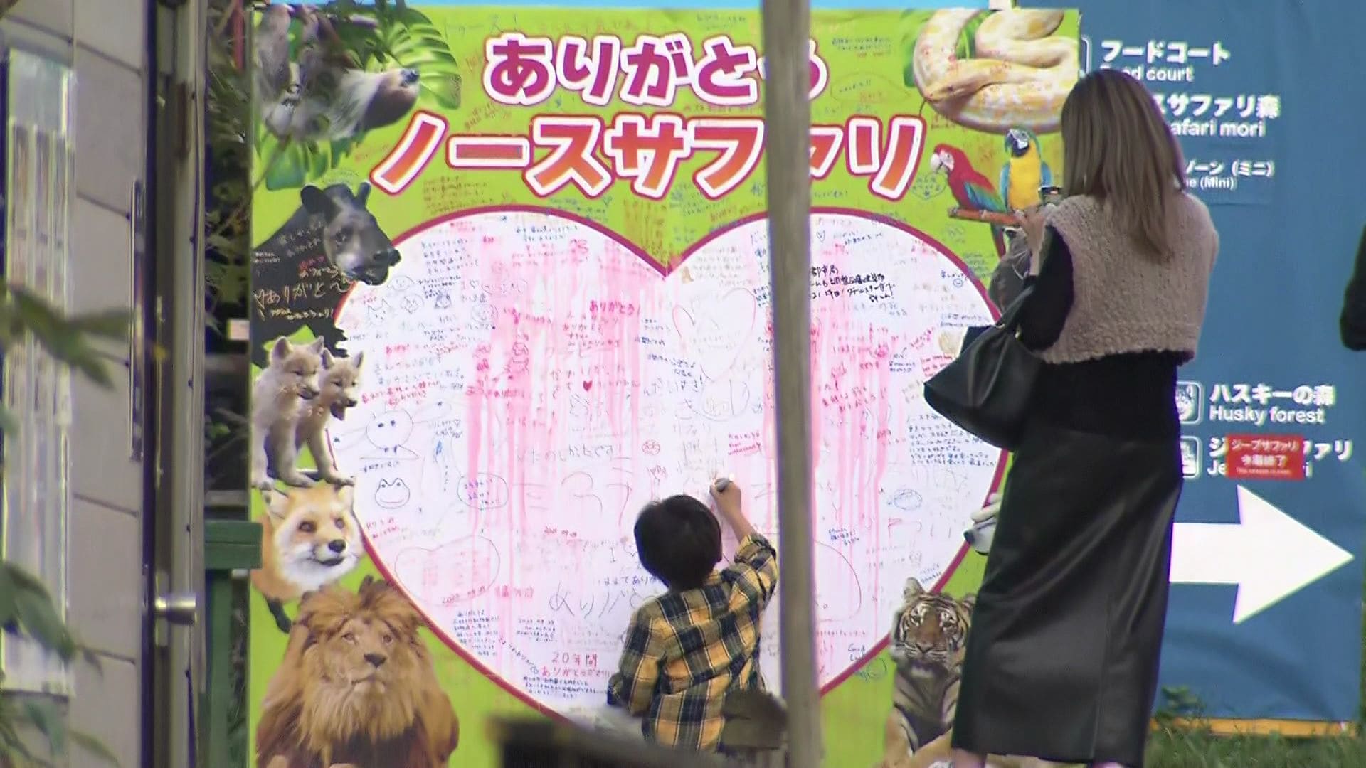 【山積みの問題】違法建築のノースサファリサッポロ 20年の歴史に幕―トラなど“特定動物”の受け入れ先確保は難航 従業員の雇用も課題に＜北海道＞（FNNプライムオンライン）｜dメニューニュース ...