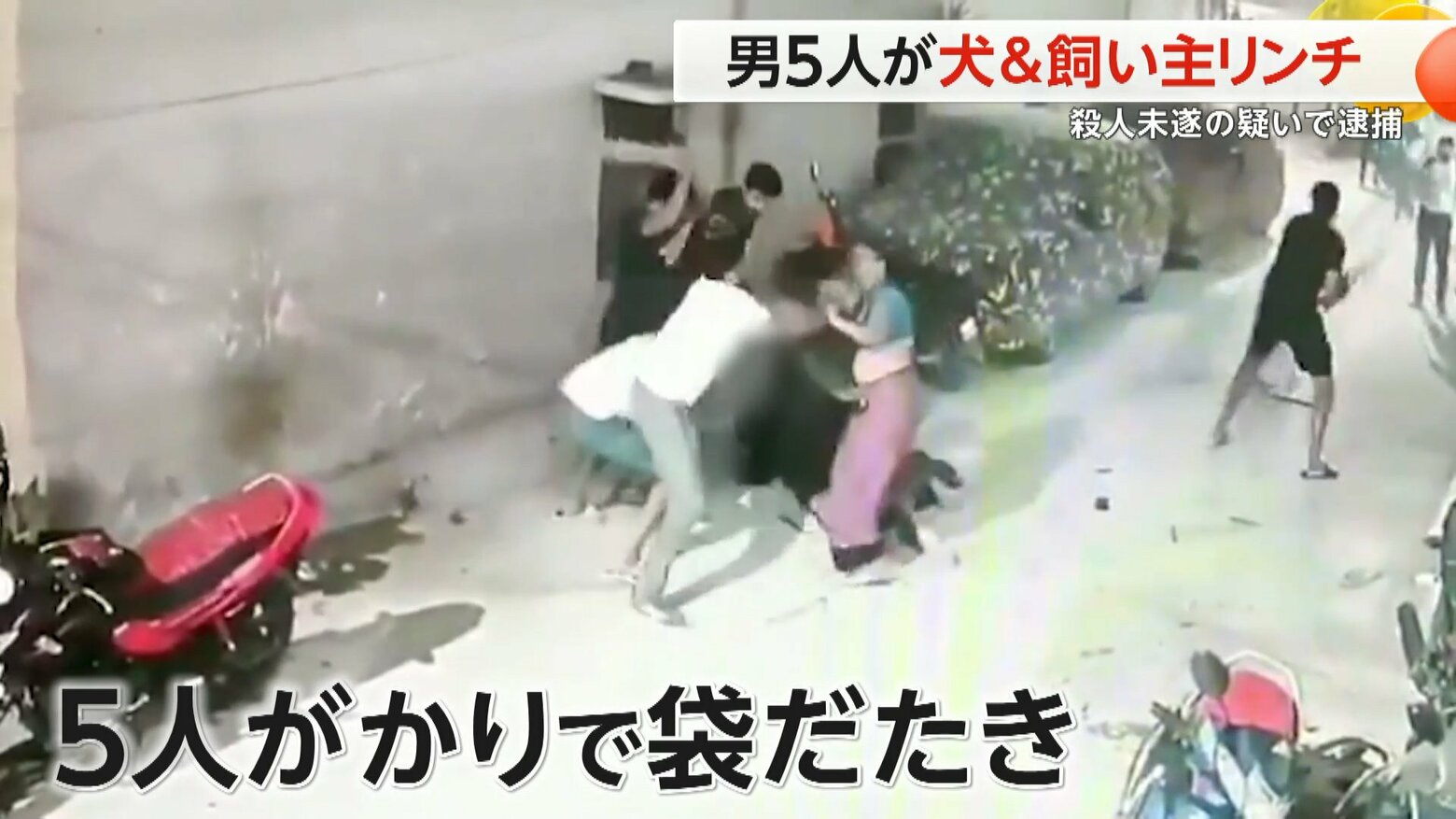 【衝撃】男5人が犬と飼い主を“集団暴行”…棒で袋だたき もめごとで復讐か 殺人未遂・動物虐待の疑いで逮捕 インド｜FNNプライムオンライン