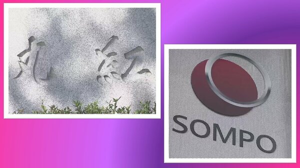 2030年代に迫る“太陽光パネル”大量廃棄…丸紅とSOMPOが中古事業でタッグ 再循環に一役｜FNNプライムオンライン