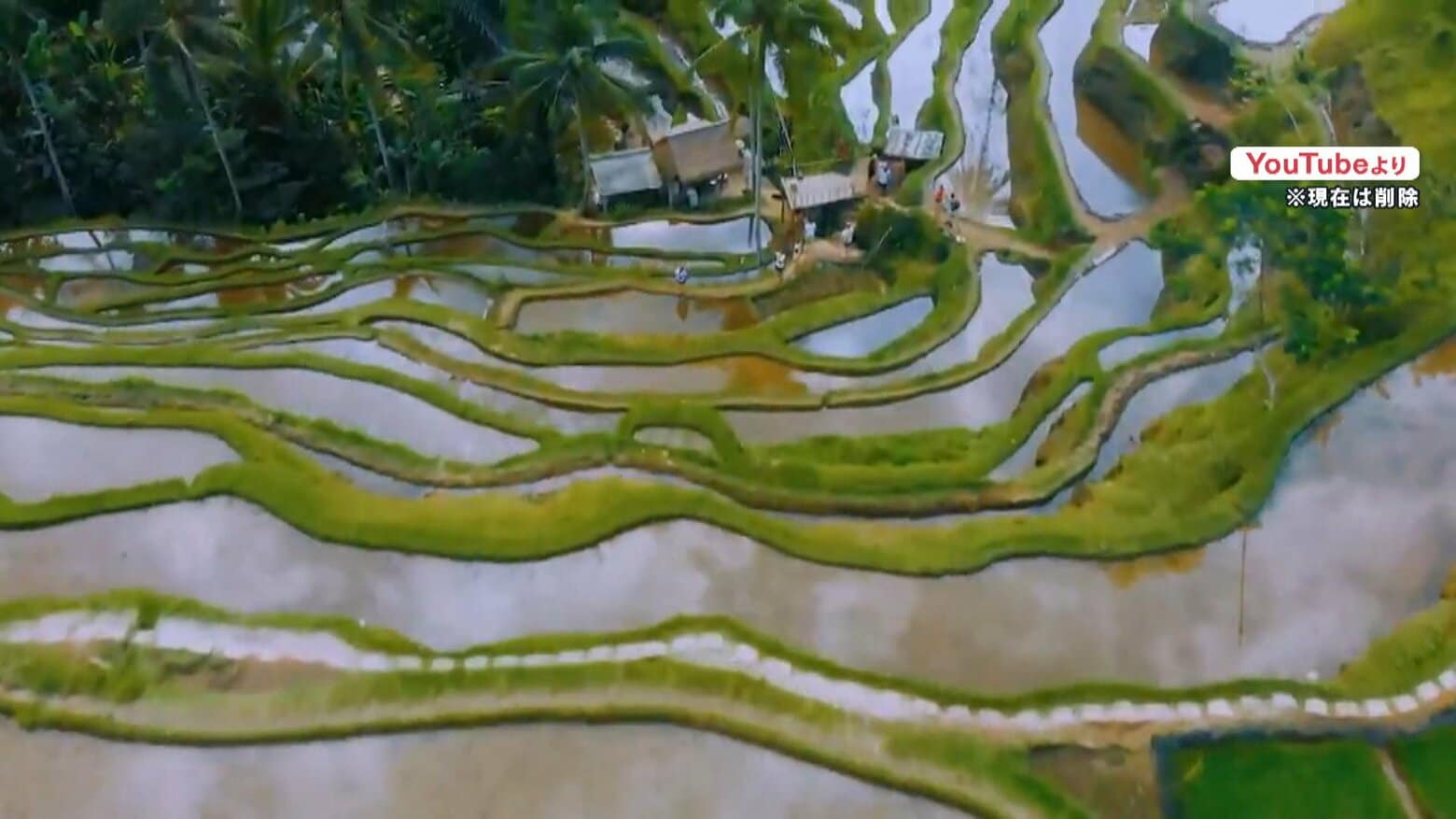 【フィリピン】政府の観光キャンペーンPR動画に他国のイメージ映像！？｢フィリピンでは見たことない光景だった…｣｜FNNプライムオンライン