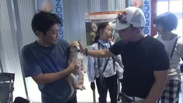 動物愛護週間始まる 岡山市で保護犬の譲渡会 ペット関連グッズ販売のマルシェも【岡山】｜FNNプライムオンライン