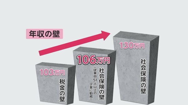 厚生年金「106万円の壁」緩和…2025年の年金制度改革に向け厚労省で議論本格化へ…「年収の壁」巡り｜FNNプライムオンライン