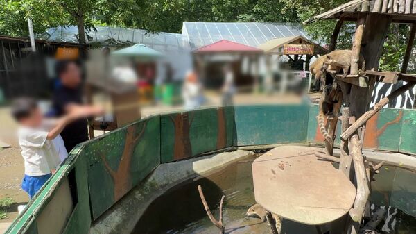 違法建築物問題の“ノースサファリ”最後の営業日「動物たちには罪がない」と多くの客訪れる―300匹以上の動物移送できぬまま→2029年末までに全建物撤去の方針〈北海道札幌市〉｜FNNプライムオンライン