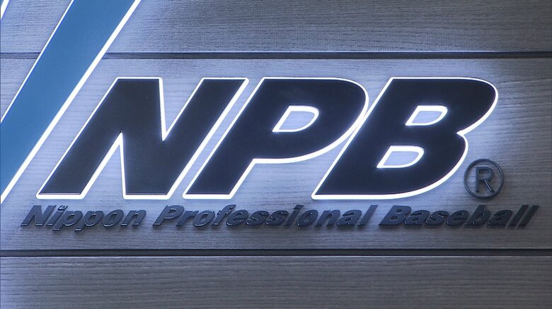 申請期限迫る！プロ野球ファーム拡大構想申請 静岡市へのプロ野球団創設に現実味!? 課題は人材確保｜FNNプライムオンライン