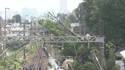 ガラスにはヒビ…走行中の京王線列車と倒木が接触し一部区間で運転見合わせに　重さに耐えられなくなり倒れたか…現場では倒木撤去作業続く