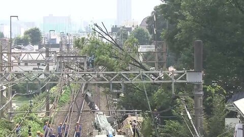 【速報】京王線が運転再開…倒木が特急列車に接触し運転見合わせも除去作業が完了