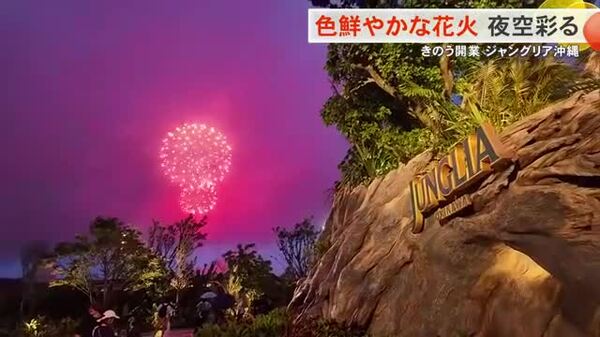 ジャングリア沖縄 夜空彩る色鮮やかな花火 大自然のなかで特別なひととき｜FNNプライムオンライン