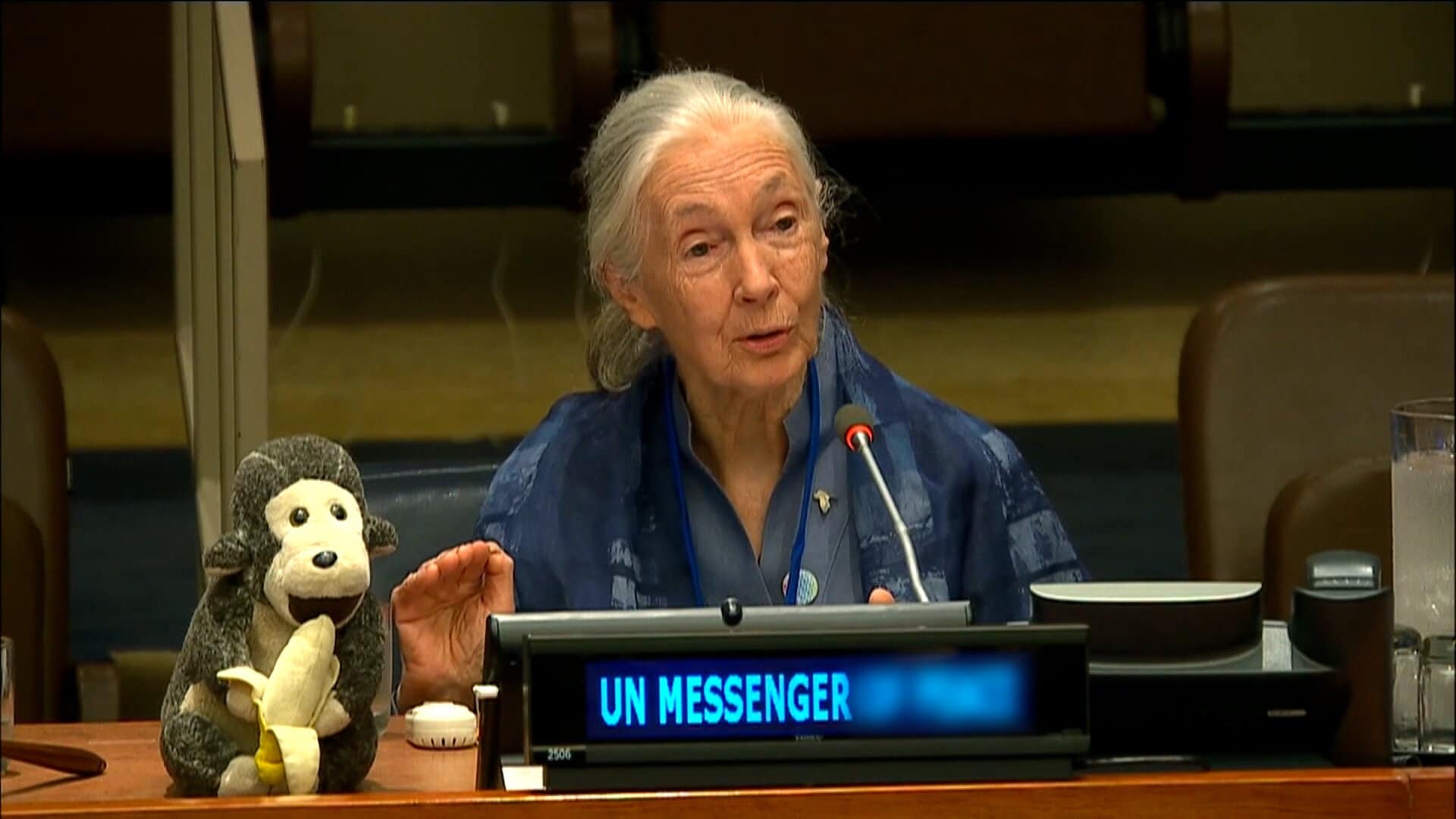 チンパンジー研究の第一人者ジェーン・グドールさん死去 91歳 動物の道具使用を発見 環境保全活動も（FNNプライムオンライン）｜dメニューニュース（NTTドコモ）