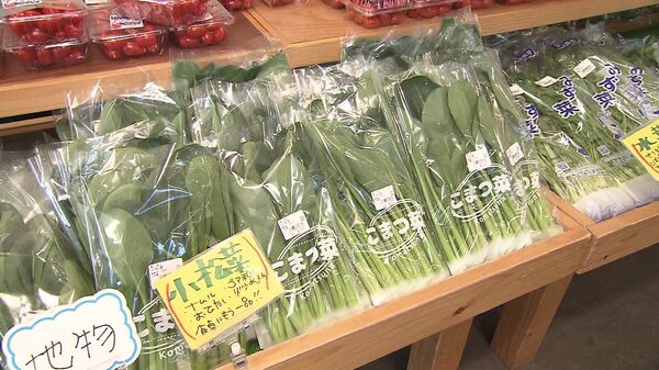 ピンピンの新鮮野菜がズラリ”直売所”今シーズンの営業スタート「ほうれん草」「雪の下にんじん」「アスパラ」―安くておいしい野菜の季節到来！｜FNNプライムオンライン