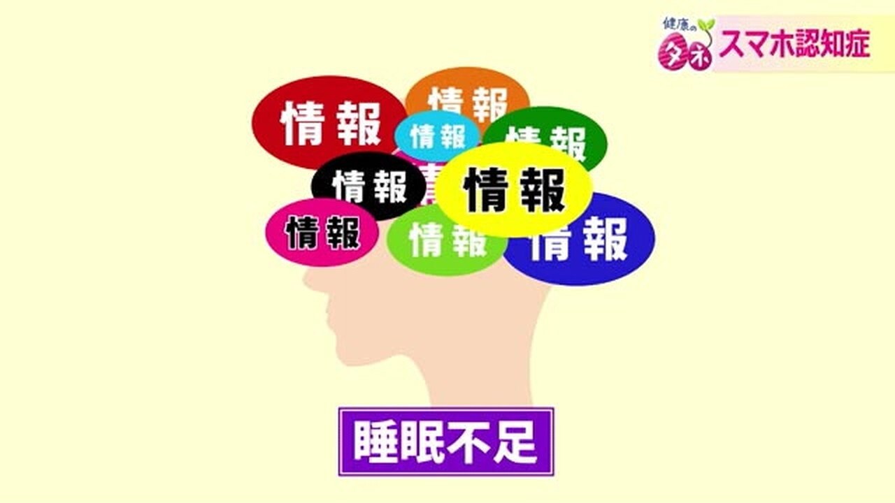 「スマホ認知症」が若者に忍び寄る “情報のゴミ”で脳が疲弊し記憶力低下…医師が示す3つの処方箋【福井発】｜FNNプライムオンライン
