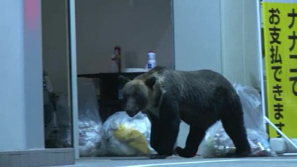 散弾銃じゃヒグマと対峙できない クマやシカによる被害相次ぐ北海道 「ハーフライフル」国の規制強化で狩猟態勢が大ピンチ 道が警察庁に対策を要請｜FNNプライムオンライン