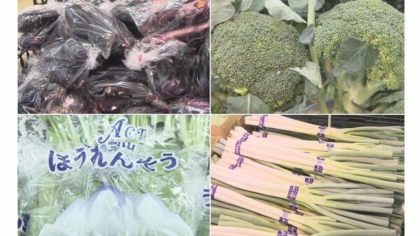 猛暑と水不足で野菜価格が高騰 1週間でナス198円→298円に…輸送段階で傷んでしまい商品にならない物も｜FNNプライムオンライン