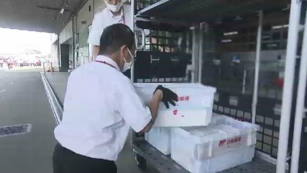 自民党総裁選の投票用紙を発送 福岡県内の党員など約2万7000人に 国会議員票＋党員票の“フルスペック型”で実施｜FNNプライムオンライン