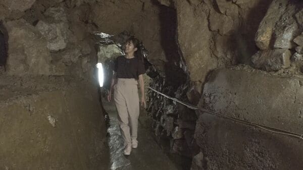 誕生は1万年以上前…「関ヶ原鍾乳洞」 全長約500mで年間通して洞内は約15度【岐阜発】｜FNNプライムオンライン