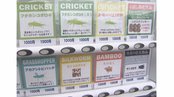 11月からは“スズメバチ”入荷予定…「昆虫食の自動販売機」が登場 コオロギ等9種類で全て1000円｜FNNプライムオンライン