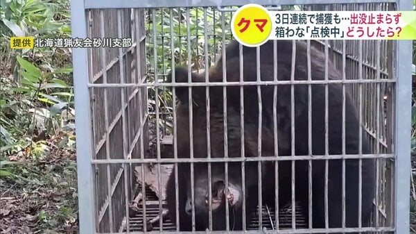 【3日連続でクマ捕獲も目撃続く】クマ出没止まらず公園閉鎖や下校対策―捕獲で保有する箱わな3つのうち1つが破損・2つ点検中_ヒグマ注意報発令し警戒強化＜北海道砂川市＞｜FNNプライムオンライン