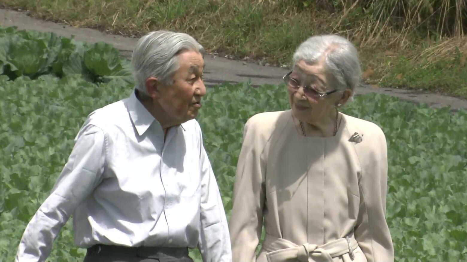 【速報】上皇后美智子さまの手術が無事終了 お住まいで転倒し右大腿骨上部を骨折｜FNNプライムオンライン