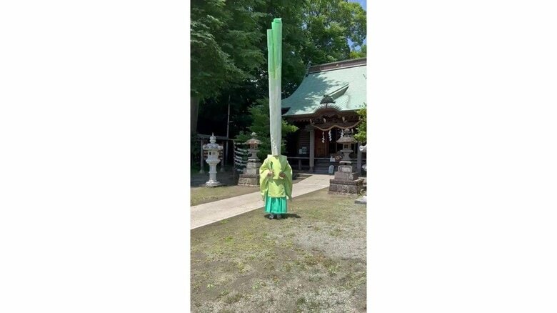 頭部2m超え「長ネギ」キャラが輪をくぐる“神社の儀式”が話題…首や腰は大丈夫なの？中の人に聞いた｜FNNプライムオンライン