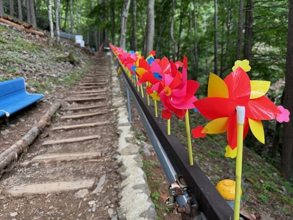 「御巣鷹の尾根」慰霊の登山道は今 日航機墜落事故から40年｜FNNプライムオンライン