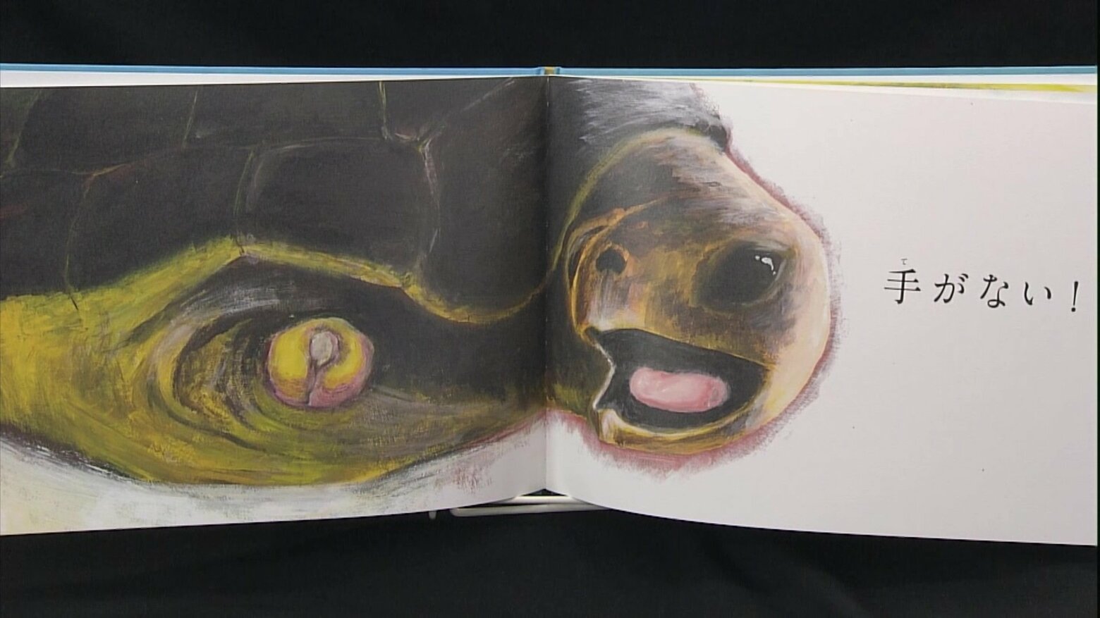 「リブの手がおしえてくれた」片足を失ったウミガメの絵本 全国へ贈る取り組み始まる【島根発】｜FNNプライムオンライン