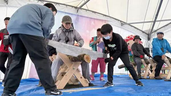 塙町で秋まつり 冷たい雨の中でも“丸太切り大会”で熱気＜福島県＞｜FNNプライムオンライン