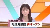 ウニの侵食で水漏れ 足摺海底館が43日ぶり再開「しっかりと修復しておりますので安心して」【高知】