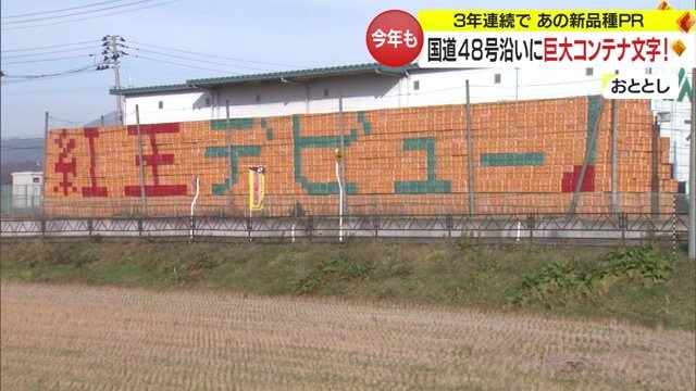 コンテナ3万5000個で作った巨大文字！ 「まだまだアピールしたい」新品種“やまがた紅王”を方言でPR【山形発】｜FNNプライムオンライン