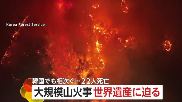 「不安で眠れない」世界遺産の歴史地区に山火事迫る韓国で1300年の伝統誇る寺院全焼…消火ヘリ墜落や避難中の車爆発などで22人死亡｜FNNプライムオンライン