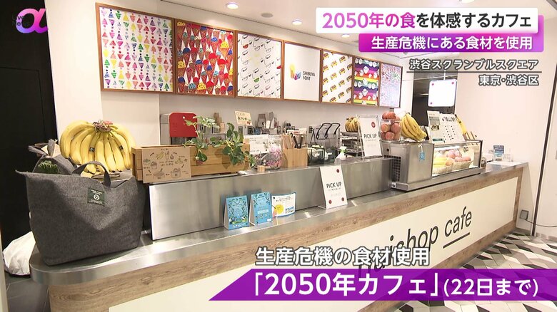 生産危機食材で未来へ警鐘…渋谷に「2050年の食」体験カフェ 日本のフェアトレード規模は「ドイツの17分の1」さらなる理解を｜FNNプライムオンライン