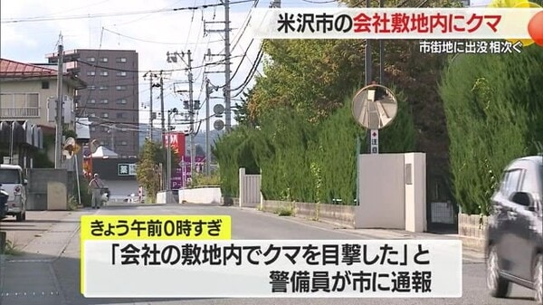 【クマ出没／山形】JR米沢駅から約600メートル・市街地で深夜に目撃 体長約1メートル・被害なし｜FNNプライムオンライン