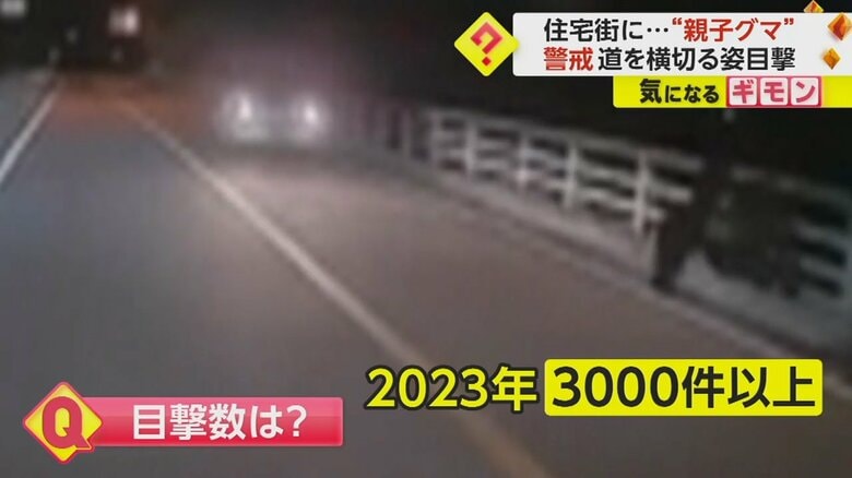 走行中の車の前に突然“2頭のヒグマ” 住宅街でも道路横切る3頭の親子のヒグマ 北海道で目撃情報が過去最多“3000件以上”に｜FNNプライムオンライン