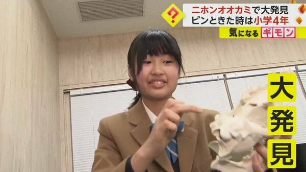 「おわーって感じ」国立科学博物館のはく製の正体を小4の時に見抜く 都内の女子中1生がニホンオオカミの論文発表｜FNNプライムオンライン