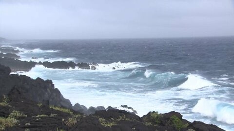 「台風9号」1日夜～2日朝にかけて関東に接近へ　比較的遅い速度で北上　沿岸部中心に荒れた天気の恐れ