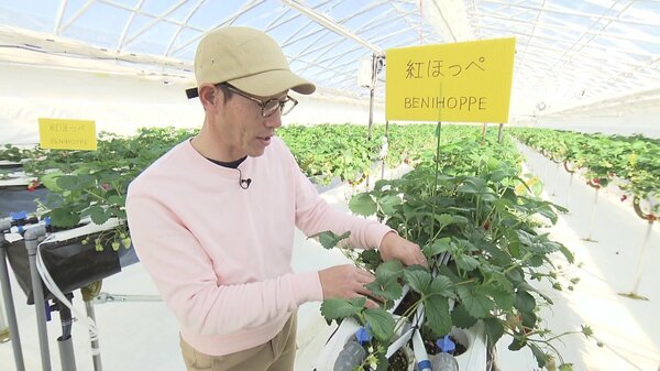 一年中フルーツ狩りが楽しめる観光農園が福井にオープン 運営するのは元園芸研究員 地域全体を“農業のテーマパーク”に｜FNNプライムオンライン