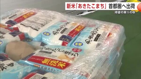 実りの秋到来！新米「あきたこまち」が首都圏へ 県外向けの出荷始まる 秋田｜FNNプライムオンライン