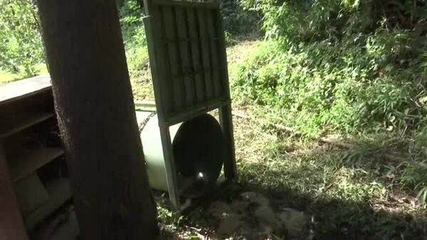 背後からクマに襲われる、精米作業中の男性がけが 体長1.2mの成獣のクマが「背中に被さった」 岩手県宮古市｜FNNプライムオンライン