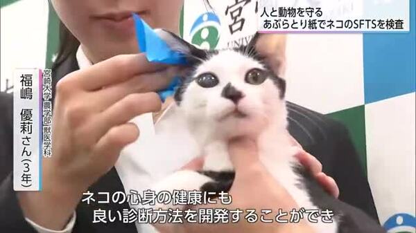 [B! 医療] 猫が持つSFTS（マダニが媒介する感染症）ウイルス「あぶらとり紙」で簡単に発見！宮崎大などが研究｜FNNプライムオンライン