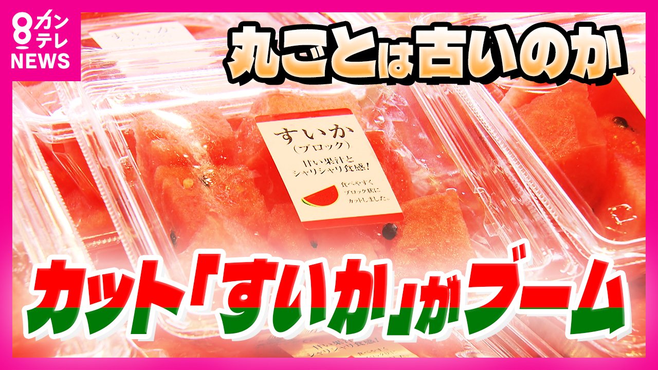 大人気の『カットスイカ』カットしても汁が出にくく進化した品種も登場 「大きいのもいいけど、カットでもすごくおいしい」｜FNNプライムオンライン