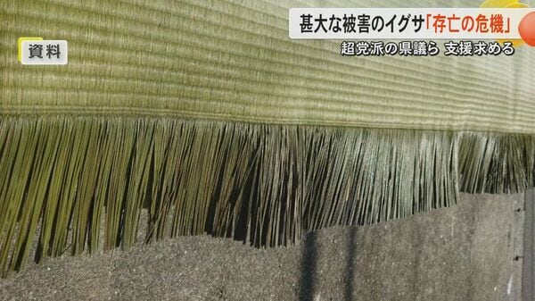 【記録的大雨】生産量全国トップの畳表のイグサも「まさに存亡の危機」熊本県内の農林水産関連の被害額が約400億円に｜FNNプライムオンライン