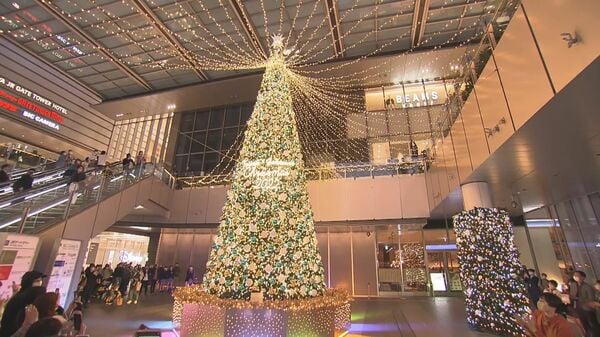 冬のイルミネーション始まる LED4万球以上のクリスマスツリーも…名古屋駅周辺で一斉に｜FNNプライムオンライン