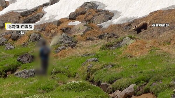登山者が自ら熊に近づき何度も撃退スプレーを噴射する危険な行為…環境省は近寄らないよう呼びかけ 北海道・白雲岳｜FNNプライムオンライン