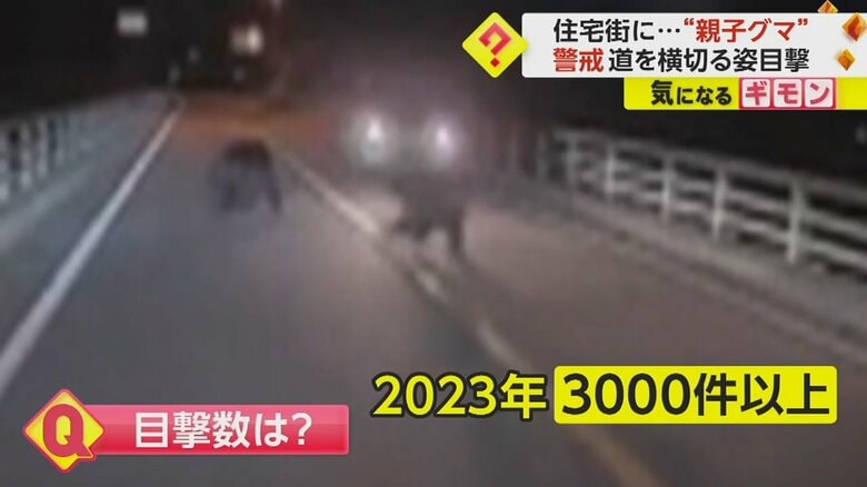 走行中の車の前に突然“2頭のヒグマ” 住宅街でも道路横切る3頭の親子のヒグマ 北海道で目撃情報が過去最多“3000件以上”に｜FNNプライムオンライン
