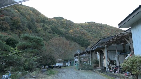 きょうも“熊被害”相次ぐ…岩手でハンターが襲われ顔面を引っかかれる大けが 山形では市の職員がパトロール中に襲撃され右手を骨折する大けが｜FNNプライムオンライン