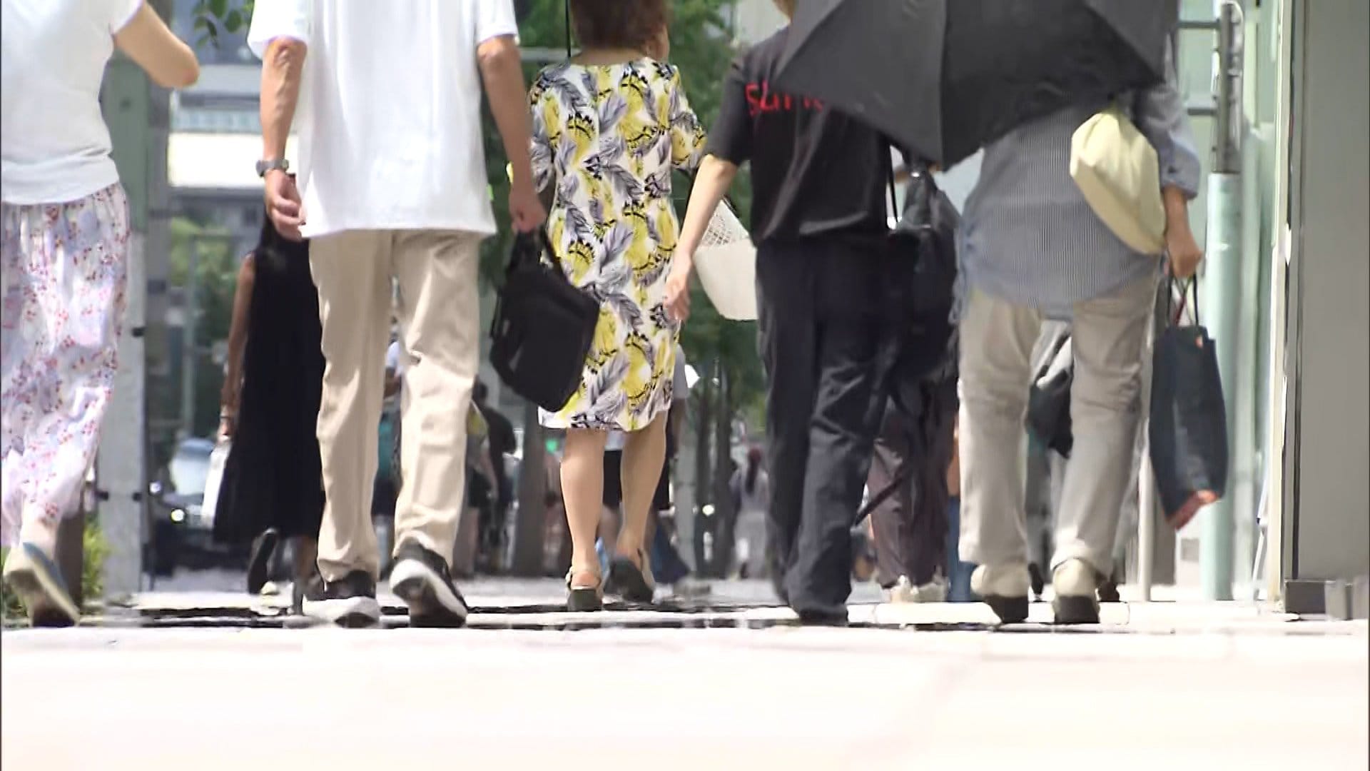 史上最多14地点で40℃超え…群馬・伊勢崎で国内最高41.8℃を観測 動物園の動物も“涼”を求めて床にぺったり…北海道や青森ではゲリラ雷雨も（FNNプライムオンライン）｜dメニューニュース ...